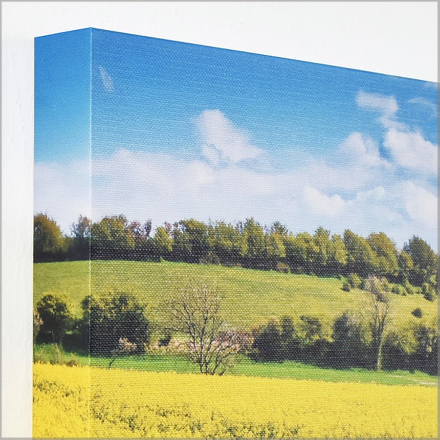 Blank Canvas Prints | Custom Canvas Prints Malaysia