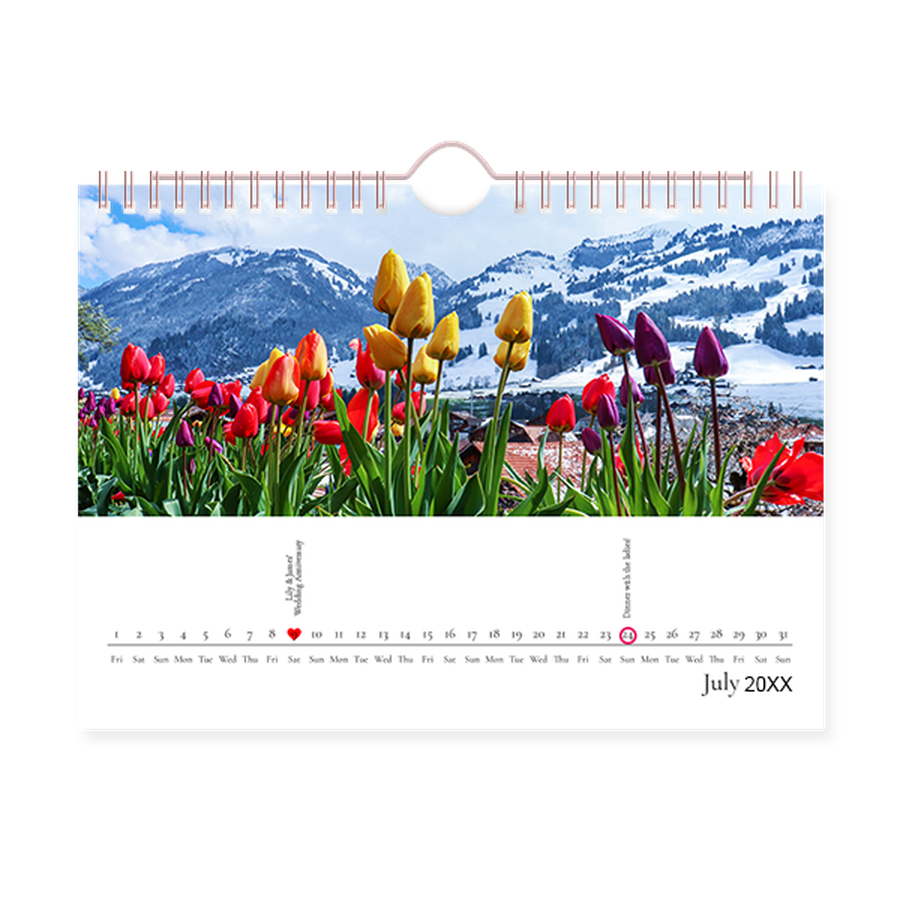 Linear Layout Premium Wall Calendar | 2025 Premium Wall Calendars